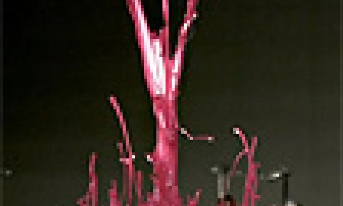 Google Chrome speed test