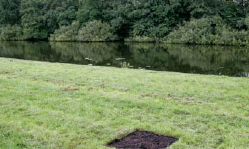 Dode pixel in Google Earth