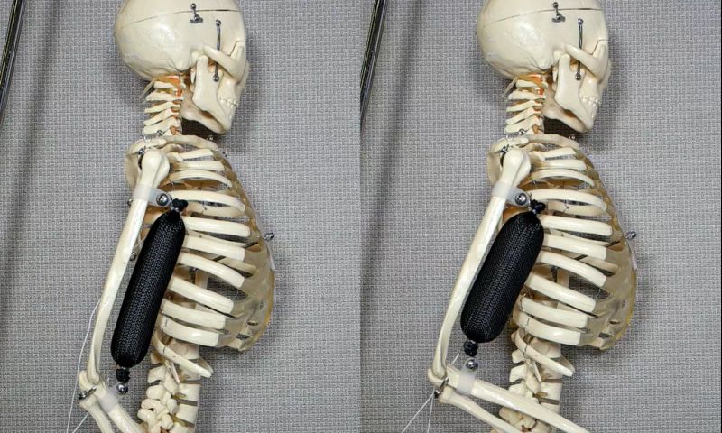 Deze 3D-geprinte spier is drie keer zo sterk als jij