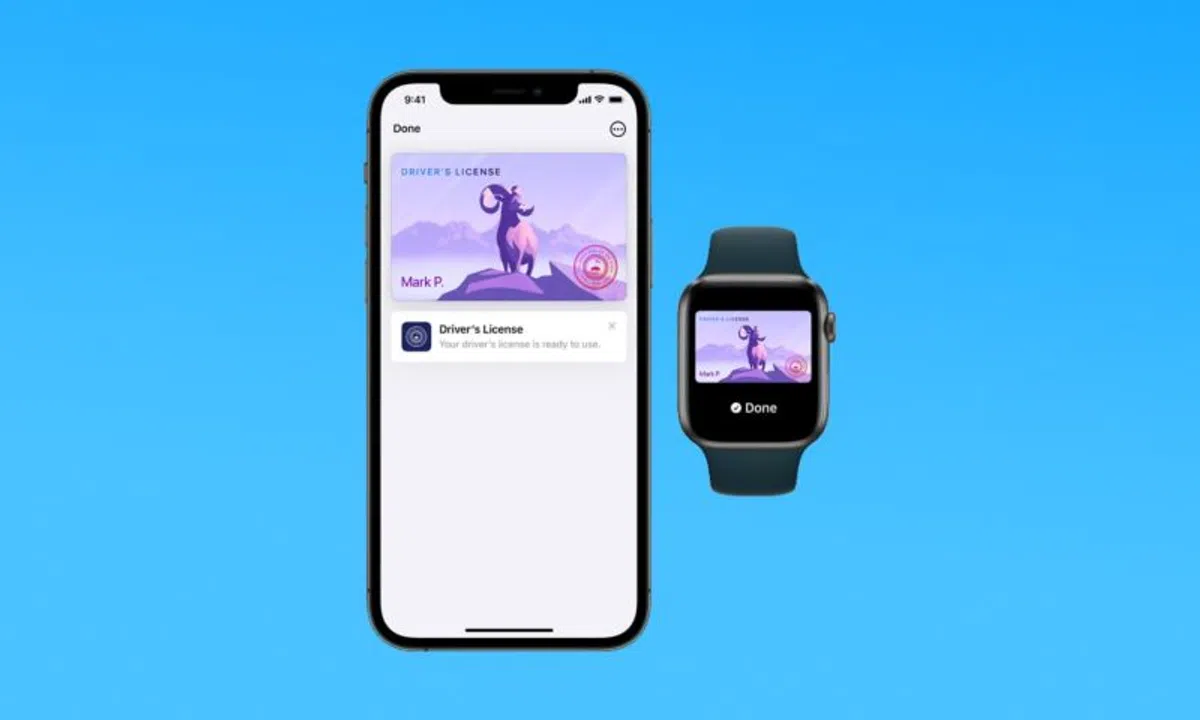 Komst digitaal rijbewijs weer in beweging met EU-plannen
