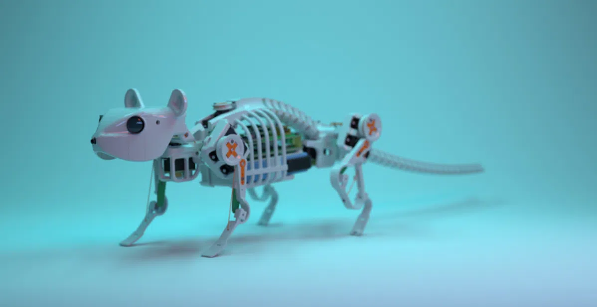 Deze robotmuis heeft een ruggengraat: 'Dit maakt robots veel beter en ...