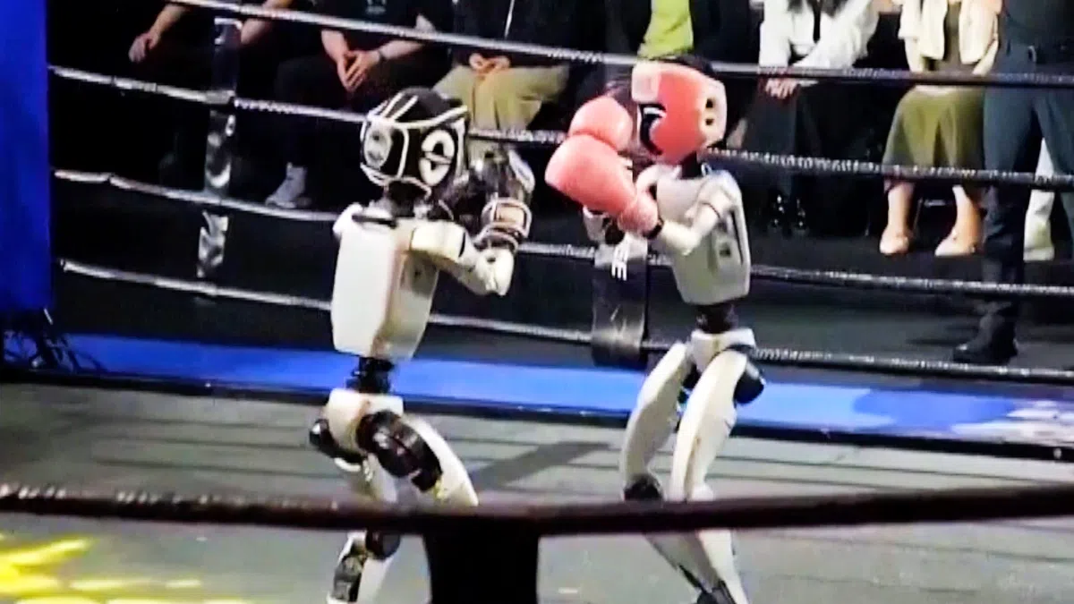 Kijk hoe robots elkaar knock-out slaan tijdens dit kickboksgala voor ...